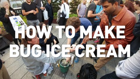 Escamoles (Ant Larvae) Ice Cream – Triple Motion